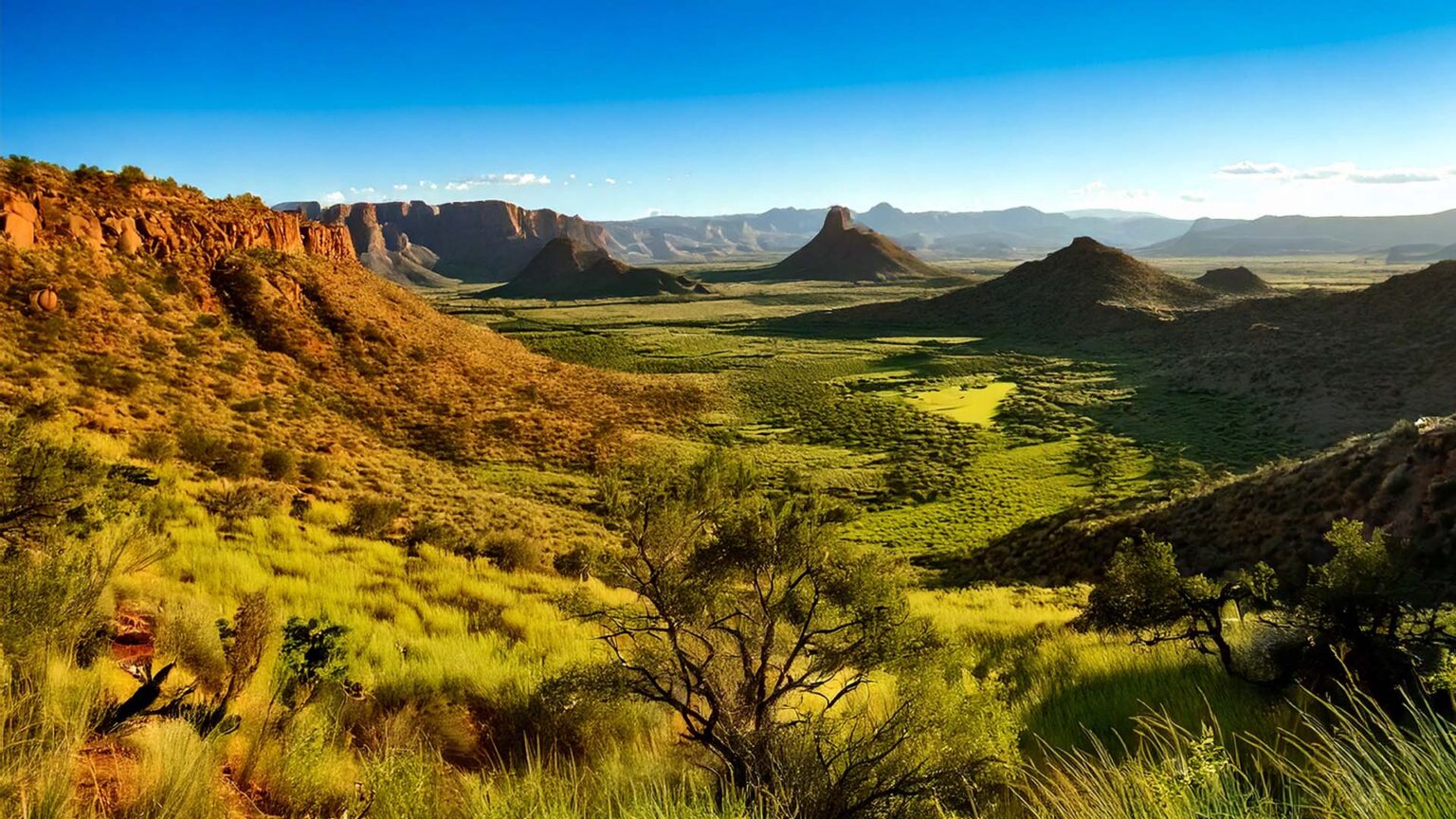 Biohazardous waste Disposal in Arizona | 5 Easy Steps for Safe Removal ...